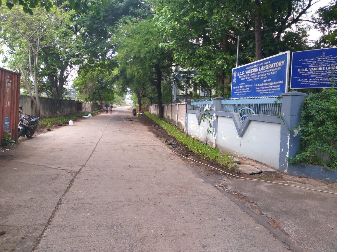 BCG Vaccine Laboratory